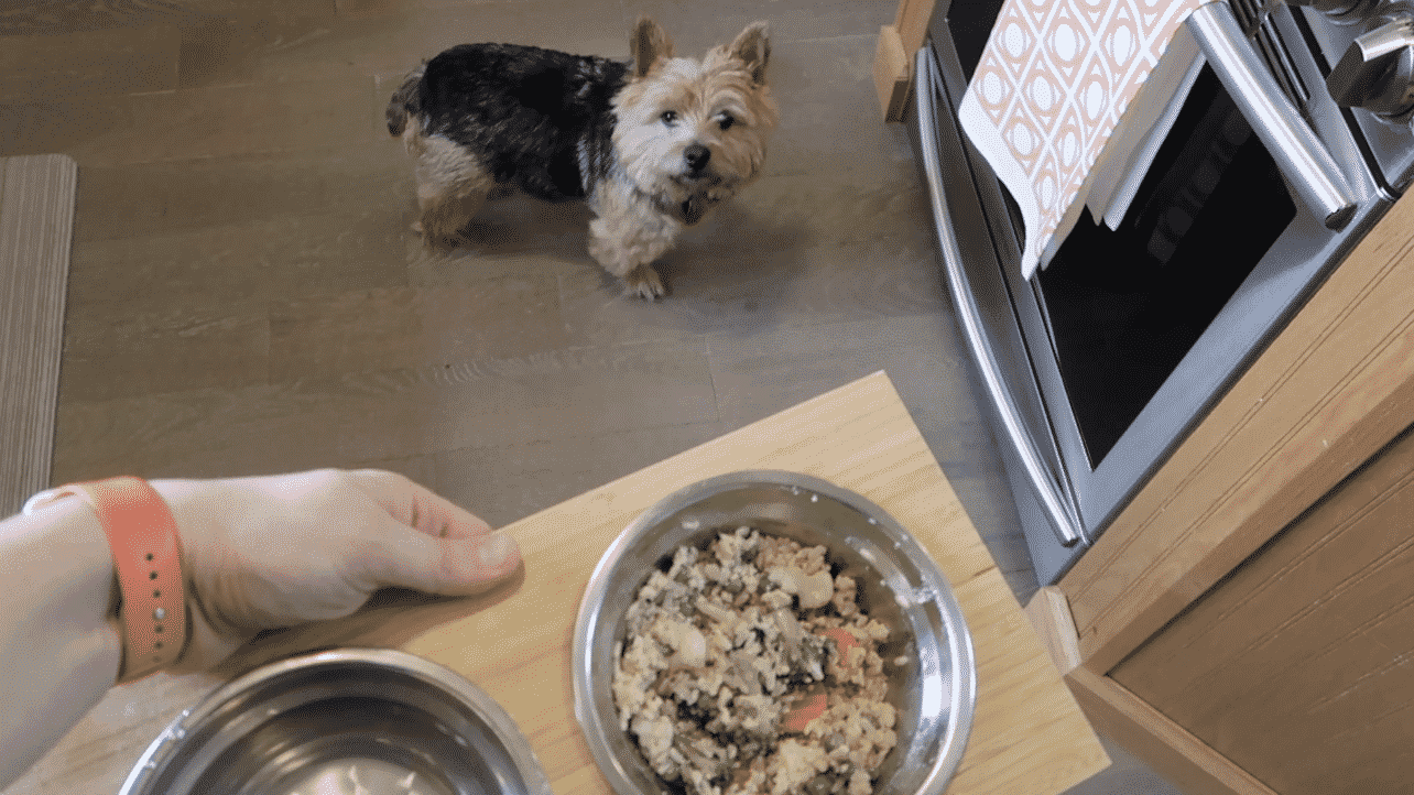 Instant Pot Dog Food - Pressure Luck Cooking